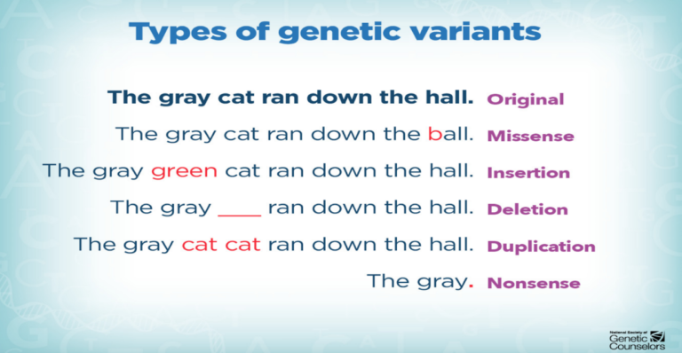 As the table shows, most cases of Duchenne and Becker are caused by ...