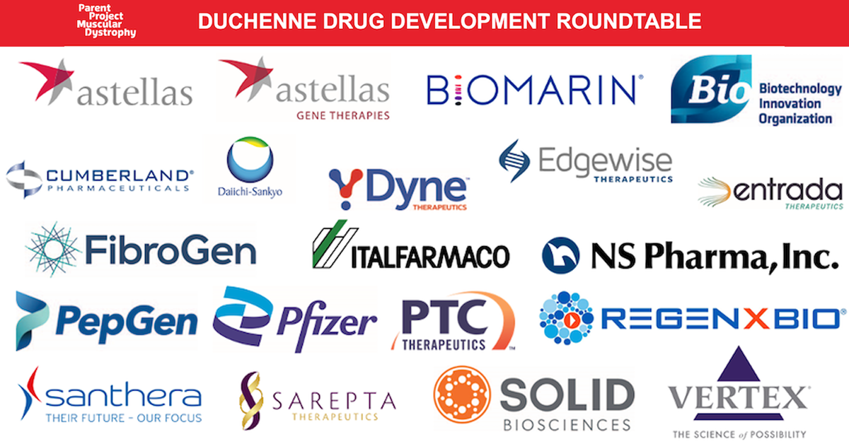 PPMD’s Drug Development Roundtable Meets to Explore Utilization of ...